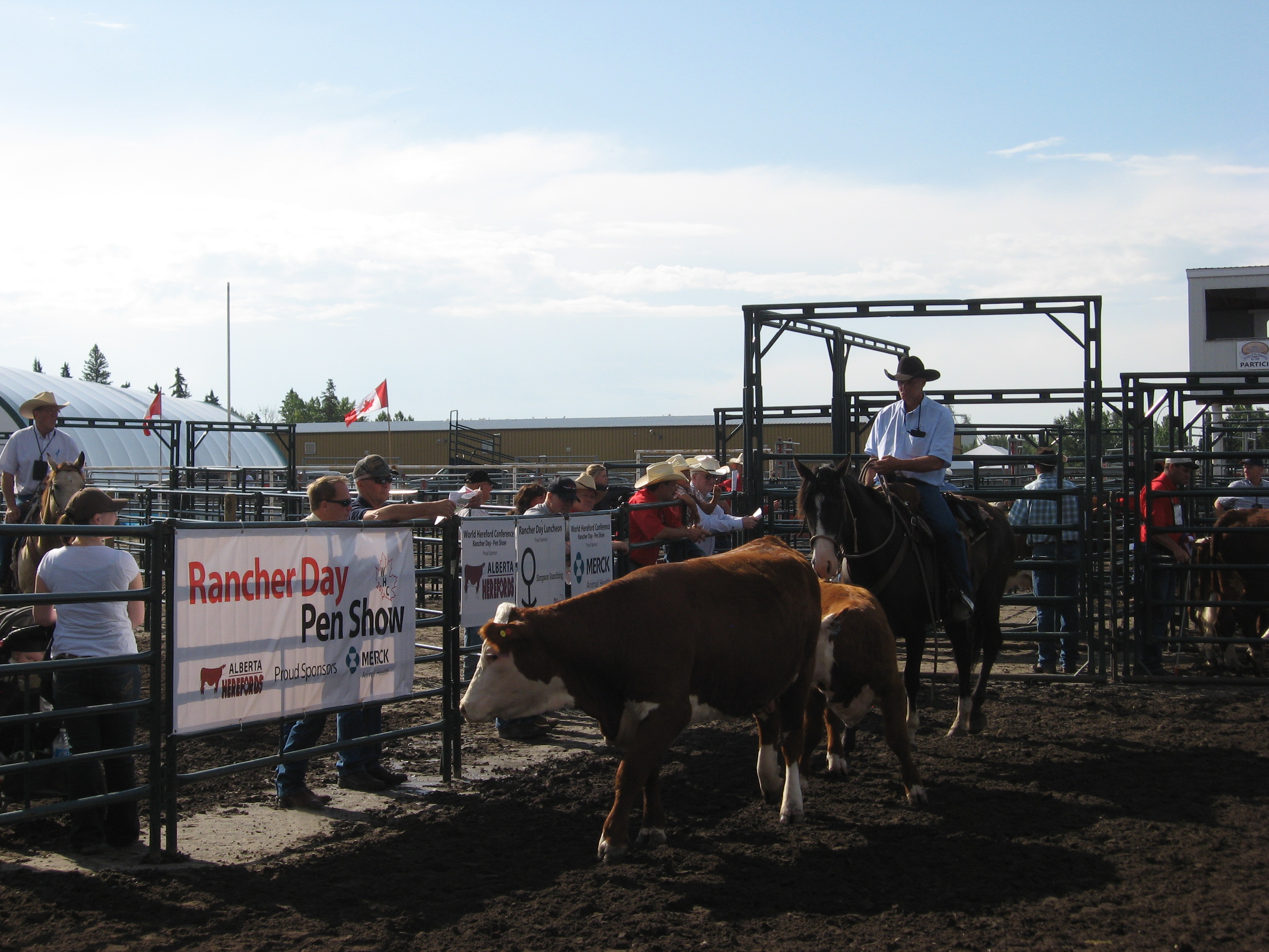 Angus and Hereford ranchers gather in two Canadian cities | Rural Roots ...