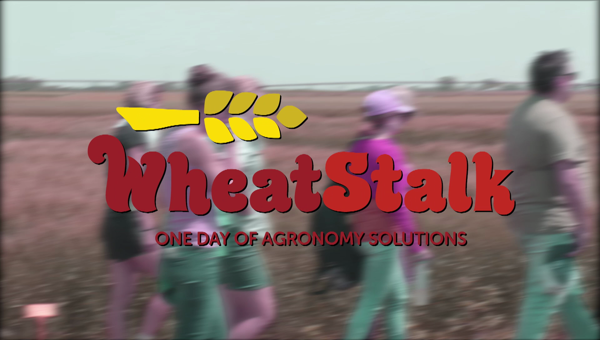WheatStalk: Developing premium Winter Wheat varieties | Rural Roots Canada