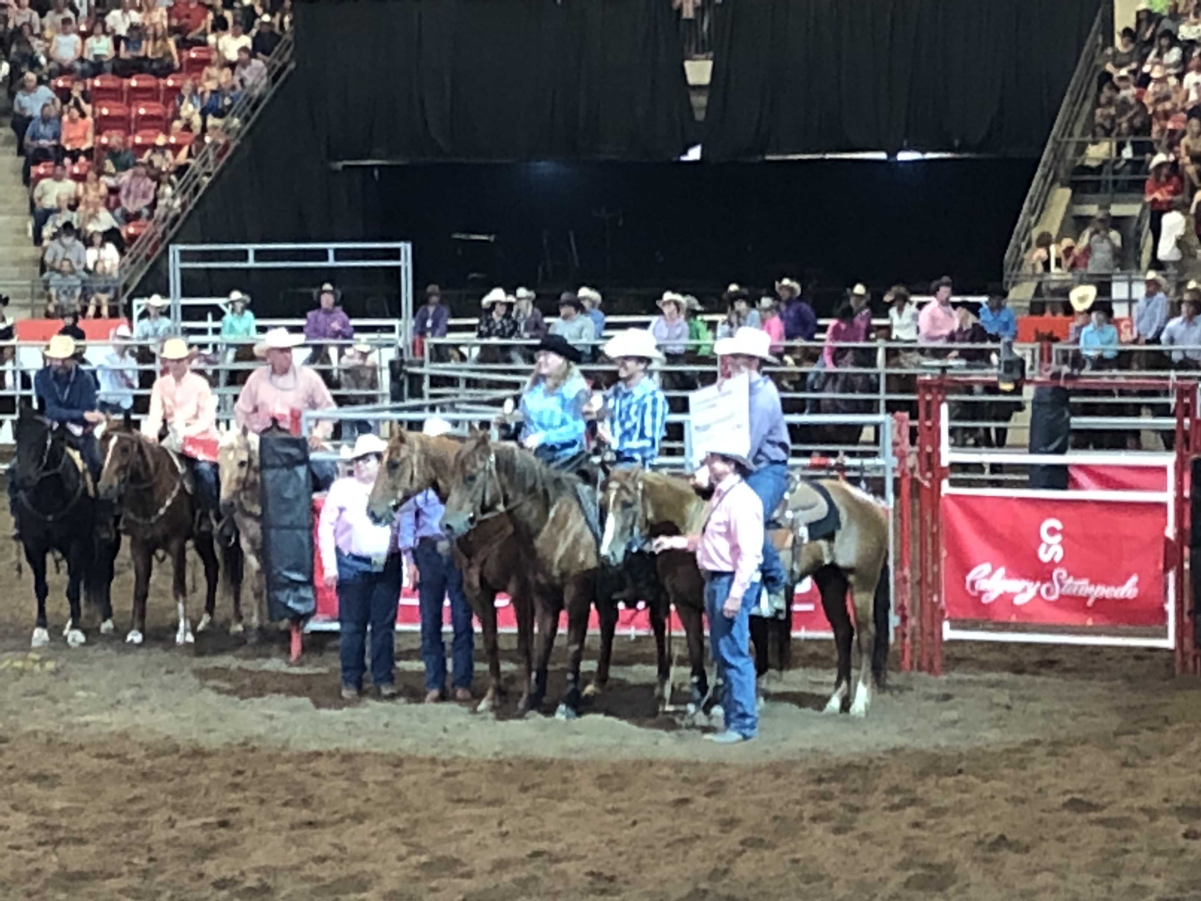 Trio come together last minute to win Stampede Team Cattle Penning ...