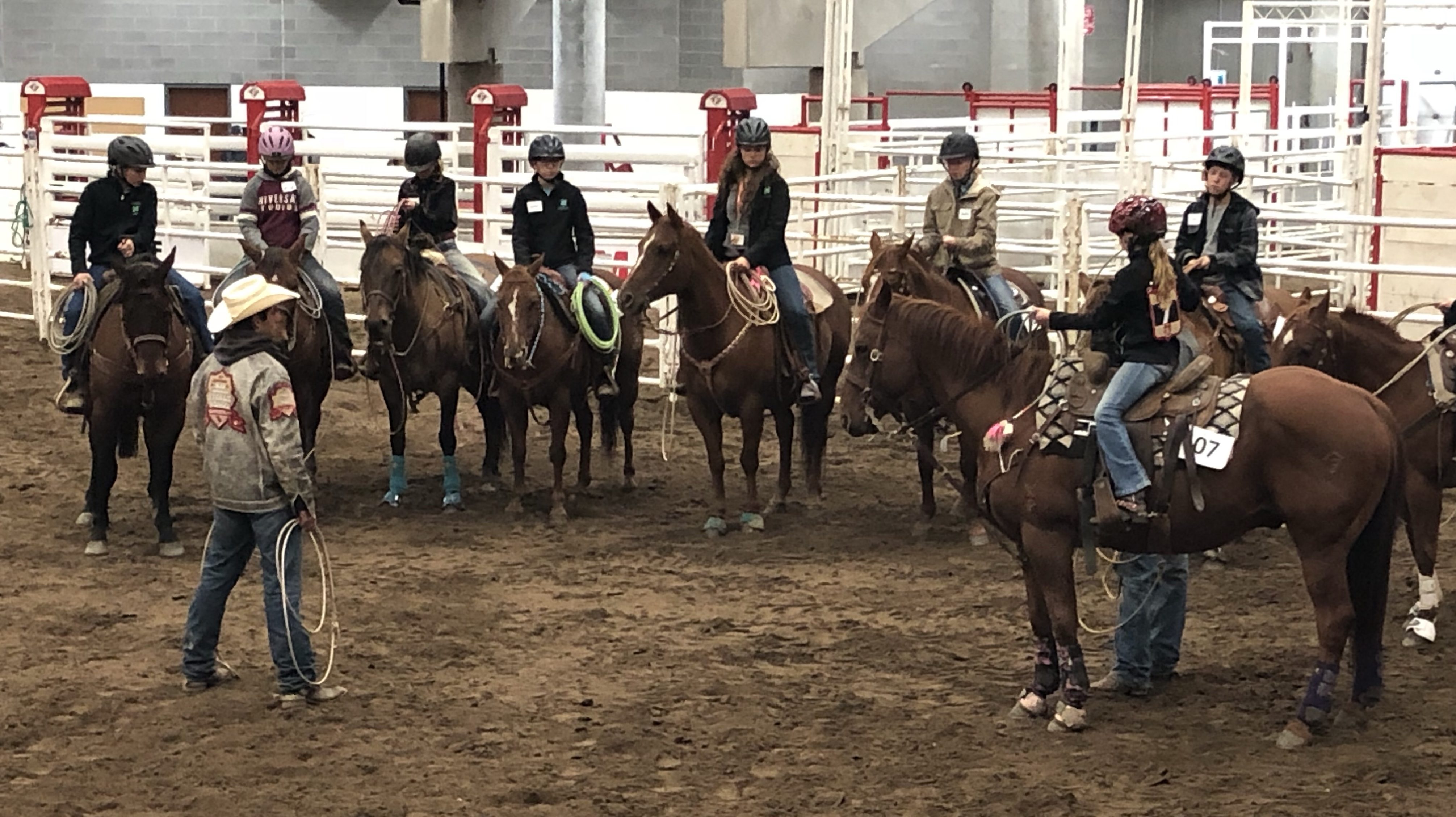 Stampede 4-H Rodeo just around the bend | Rural Roots Canada