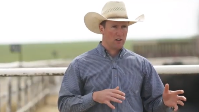 Rrc Ag Days Selecting A Bull That Fits Your Herd Rural Roots Canada