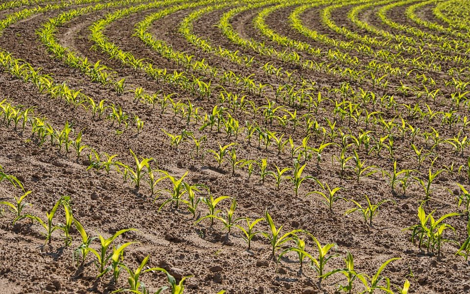 Corteva Agriscience marks one-year by setting sustainability goals ...