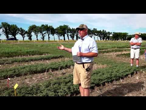 Farming Smarter: Precision Planting Pulses | Rural Roots Canada