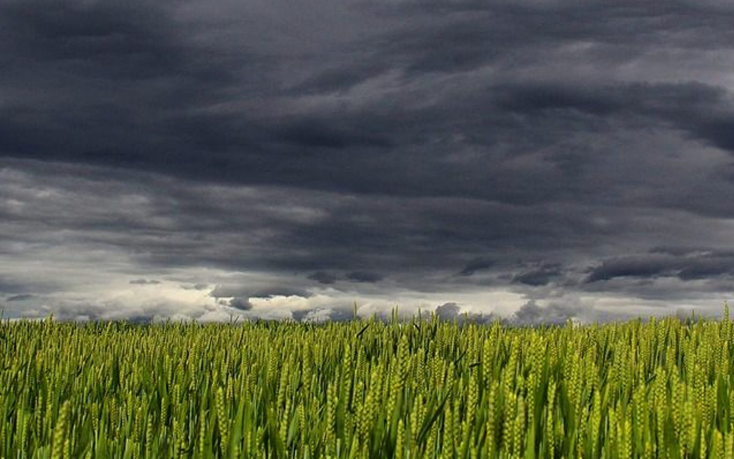 Percentage of Precipitation: What It Means and How to Interpret it ...