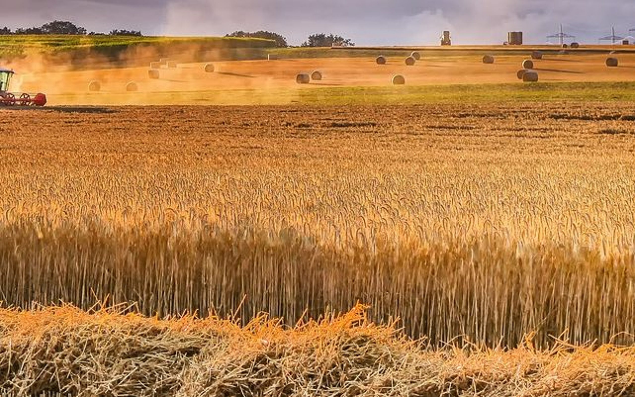 Know What You Grow: Expanding your grain marketing reach with ...