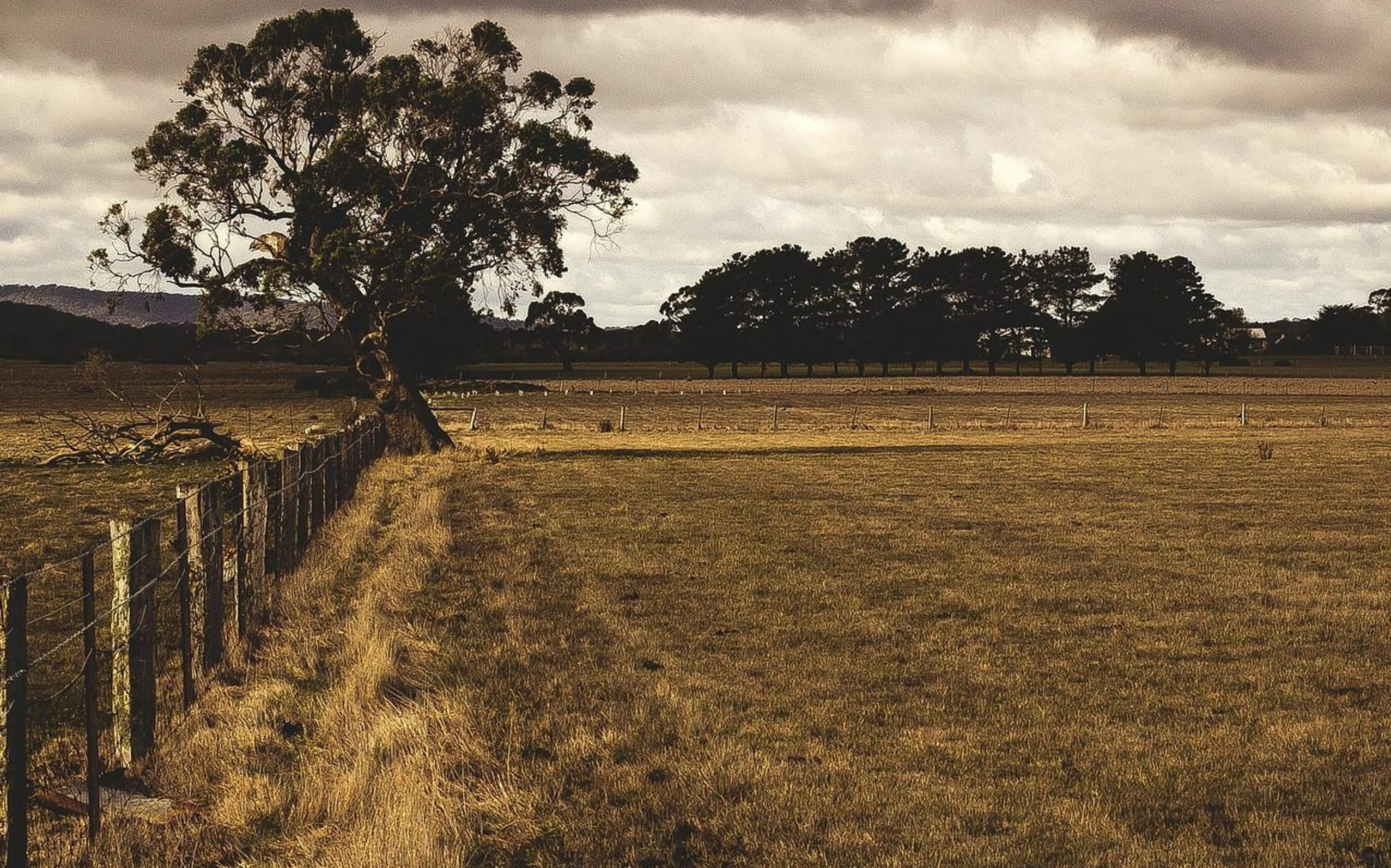 From spent to flourishing: turning a gravel pit into grassland | Rural ...