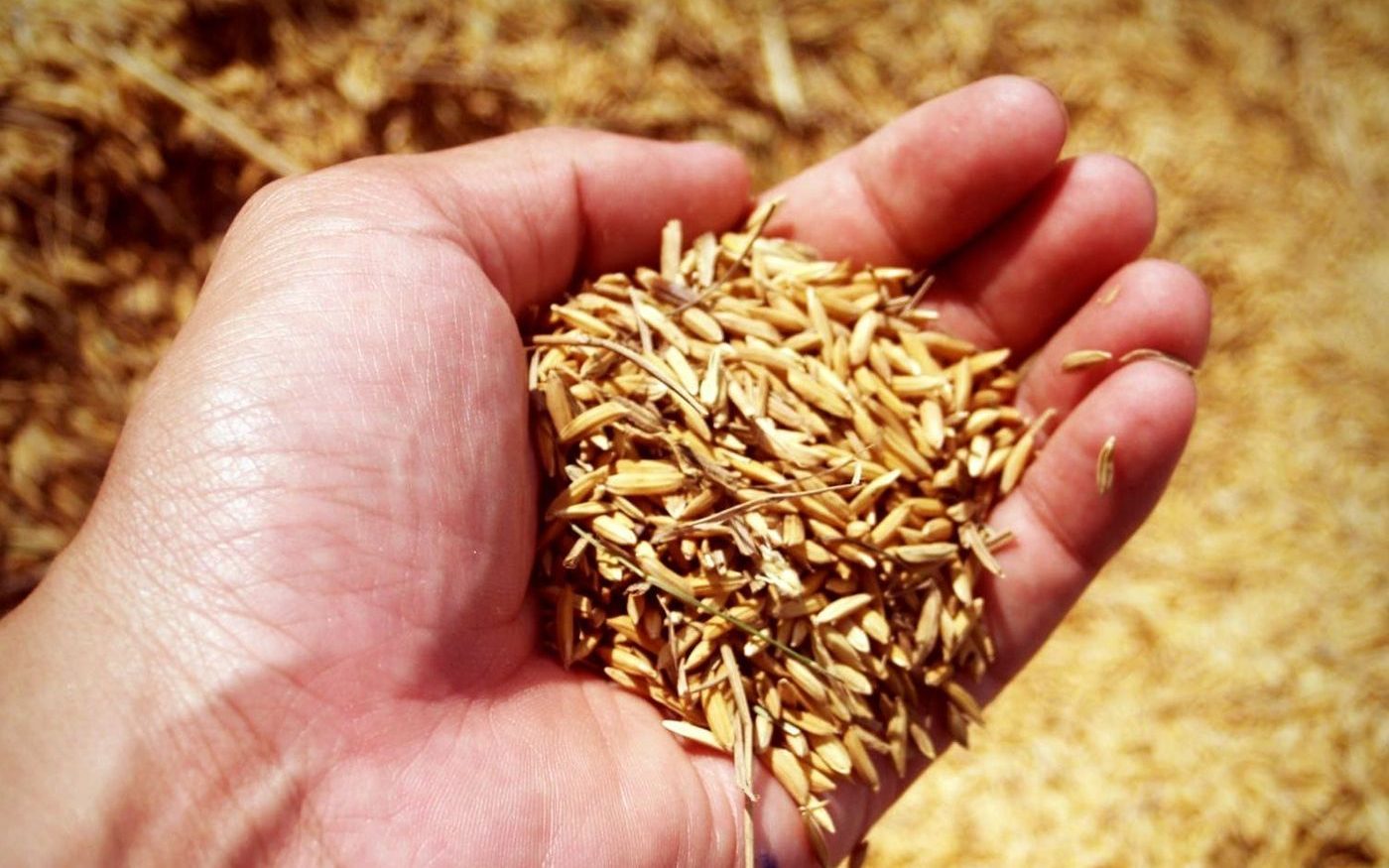 20/20 Seed Labs Celebrates 35 Years of Innovation and Research | Rural ...