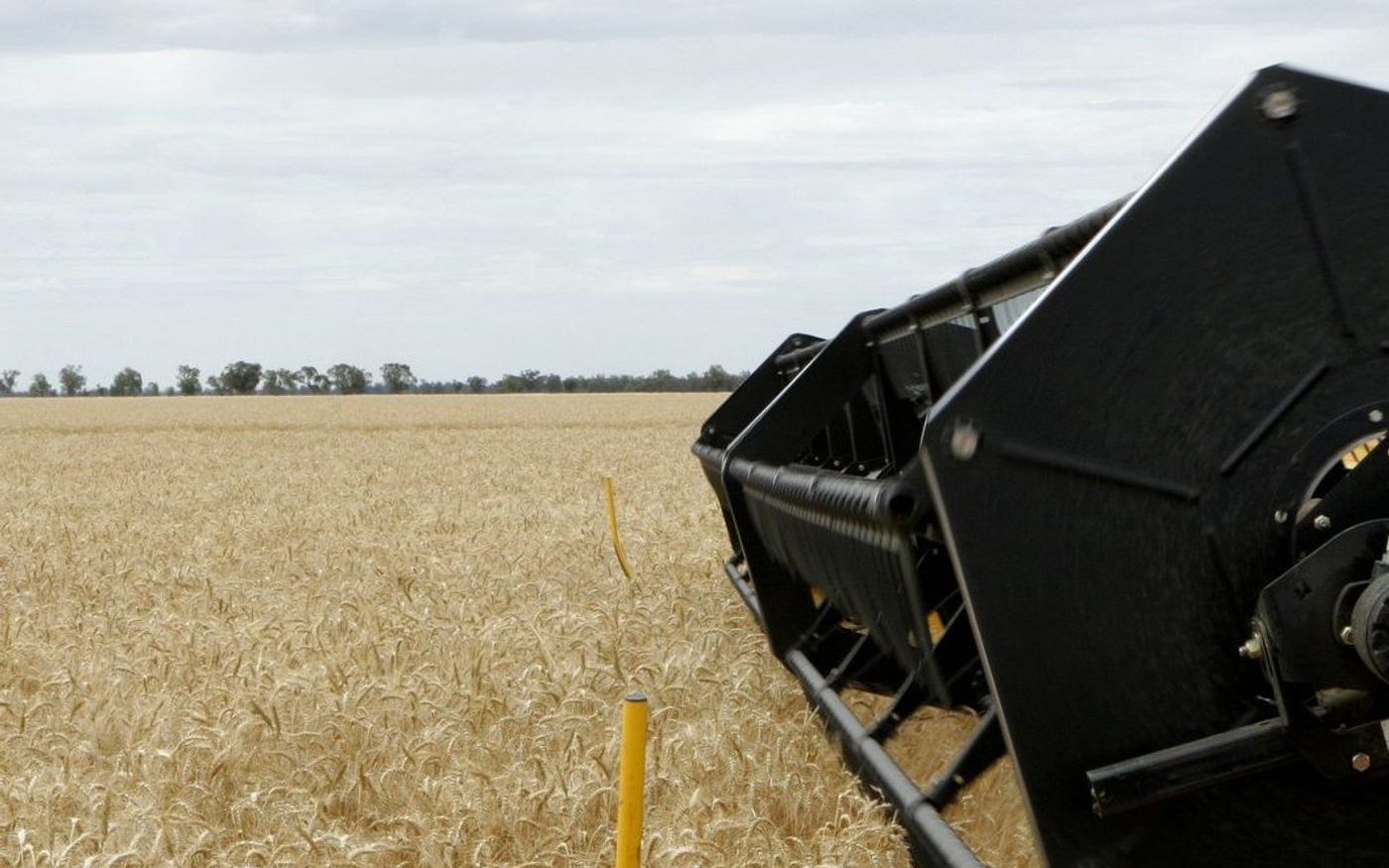 CrossRoads Crop Conference Moves to Calgary for 2024 | Rural Roots Canada