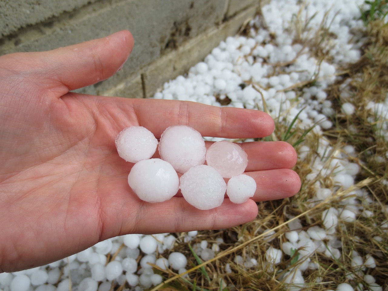 Hail Report: Intense Storms Result in Substantial Crop Losses | Rural ...