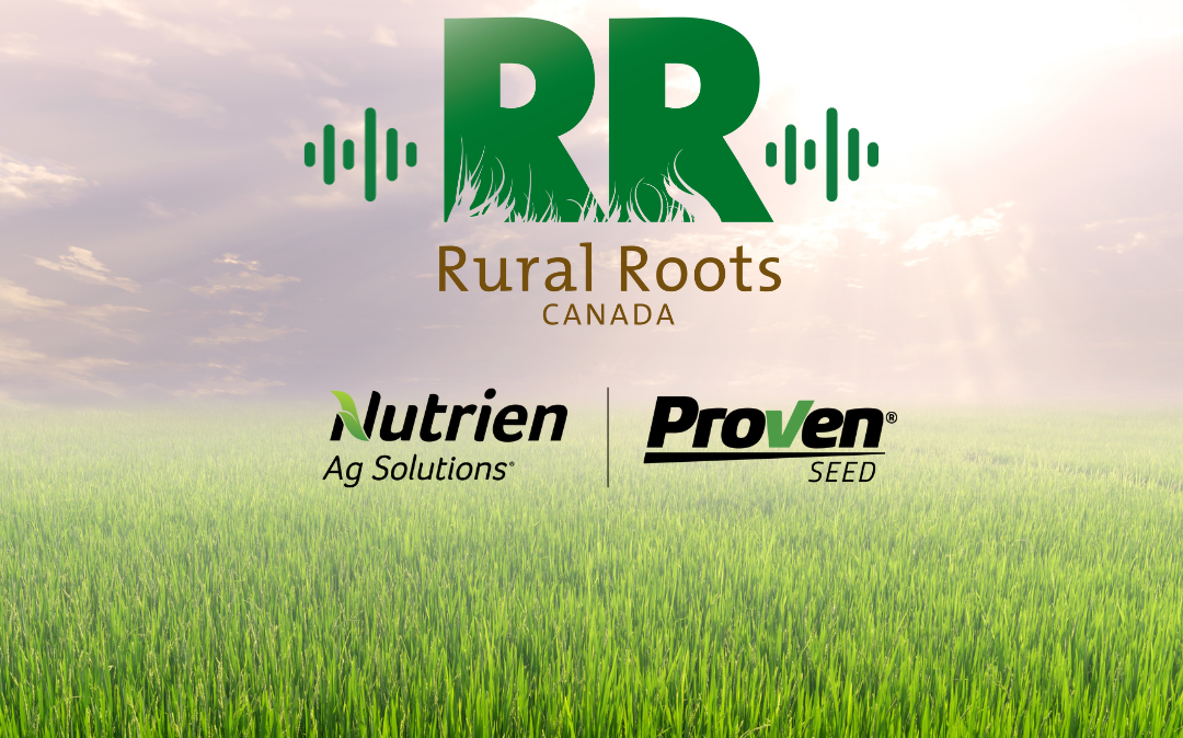 RRC Episode #7: Selecting a Canola Hybrid and a Silage Corn Hybrid ...