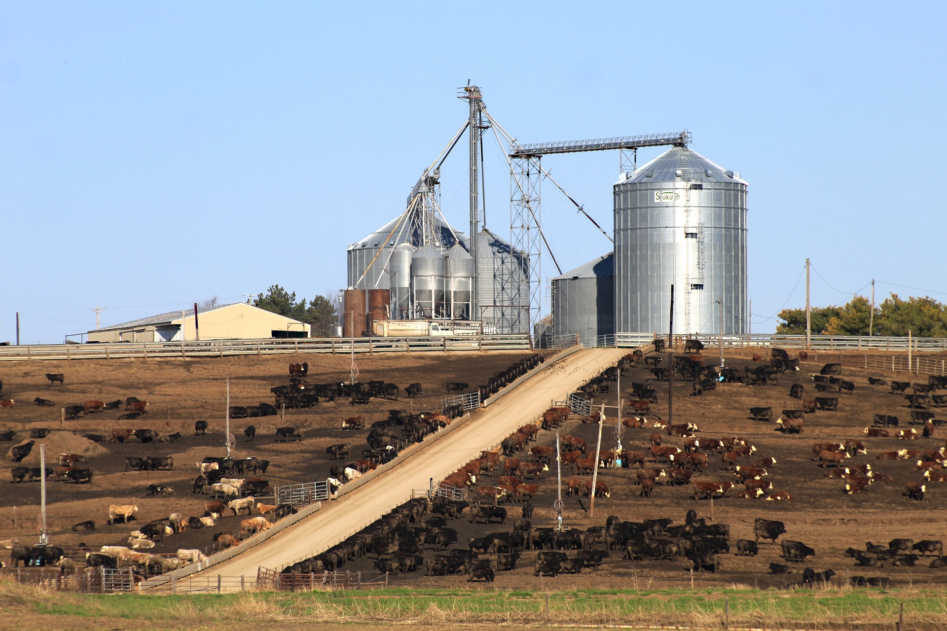 Canadian Farm Income Hits Record High in 2023, Forecasts Dip for 2024 ...
