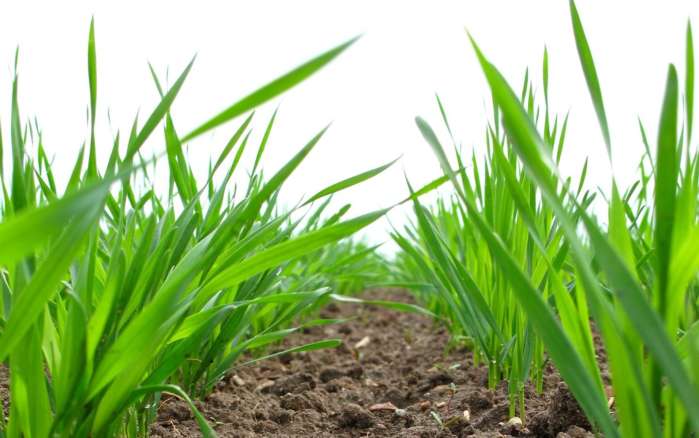 New Farming Smarter Program Aims to Help Farmers Implement Change ...