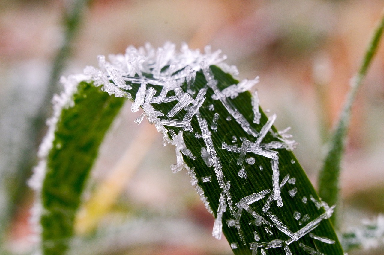 New AgTech to Mitigate Impact of Frost on Crops | Rural Roots Canada