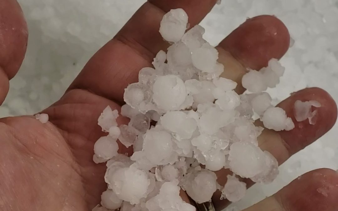 Hail Report: Mild to Severe Hail Damage to Crops Reported Across the ...
