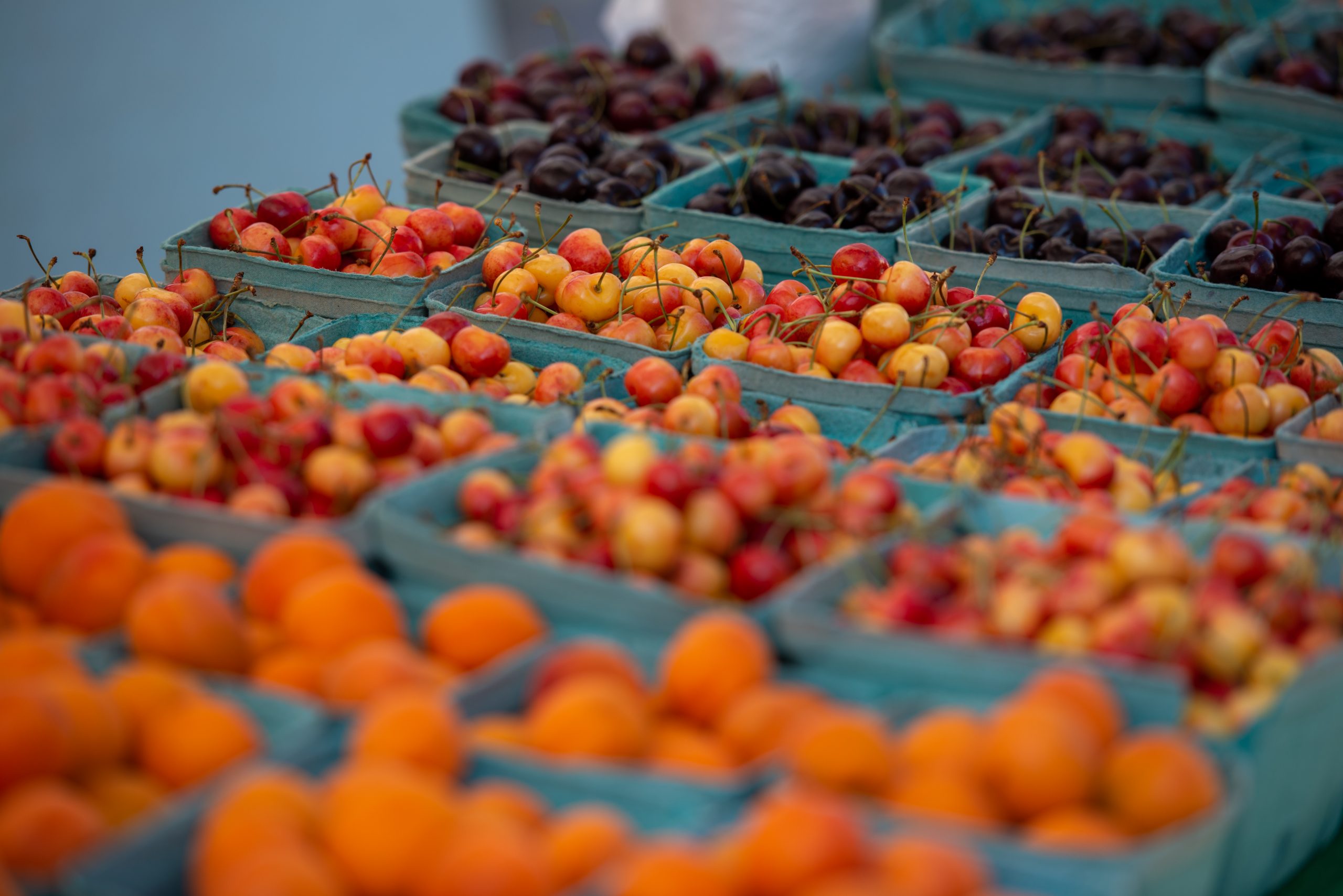 CFIA Updates Food and Animal Regulations to Support Ag Sector Growth ...