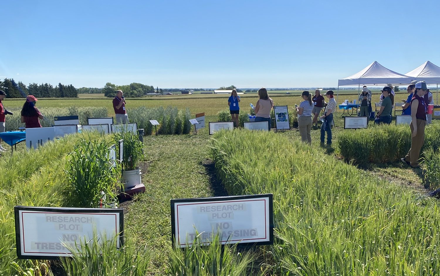 Western Crop Innovations Launches Survey to Guide Future Research ...