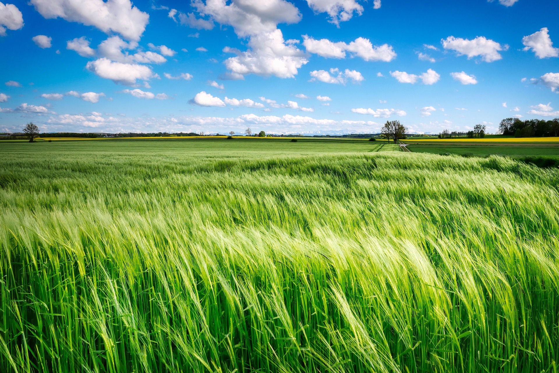 2024 Alberta Farm Weather Year in Review | Rural Roots Canada