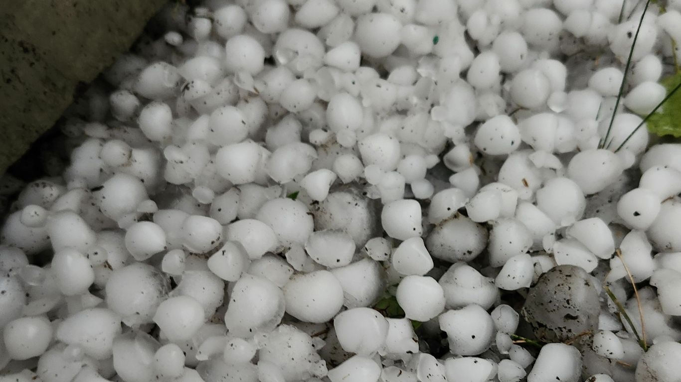 Hail Damage Intensifies in Alberta, Saskatchewan, and Manitoba | Rural ...