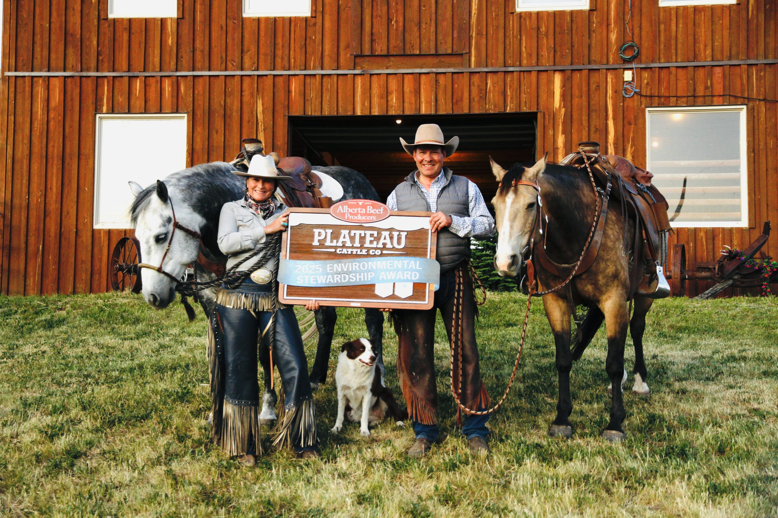 Plateau Cattle Co. Win 2025 ABP Environmental Stewardship Award | Rural ...