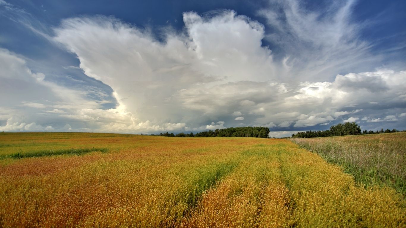 Saskatchewan Establishes Farm Land Ownership Advisory Committee | Rural ...