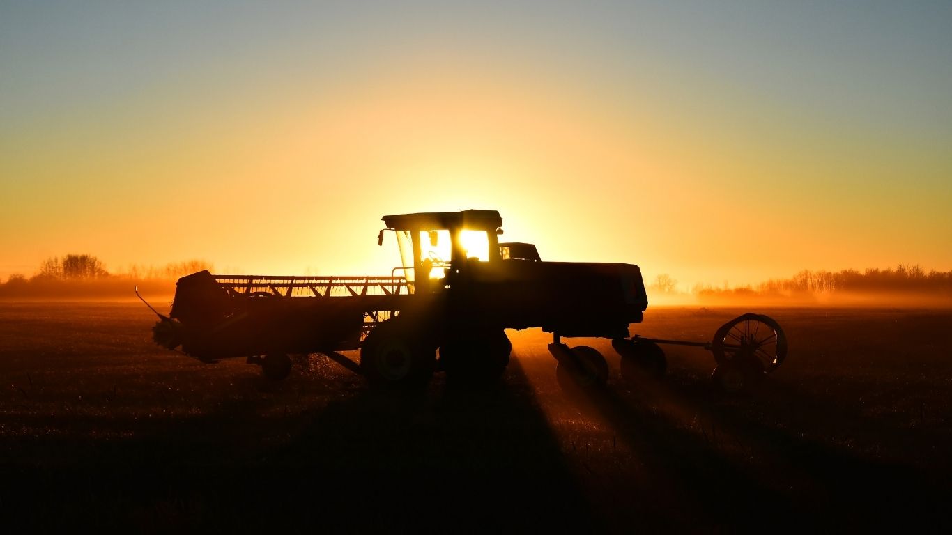 Livestock pushes Canadian farm cash receipts to $101.4B in 2025 | Rural ...